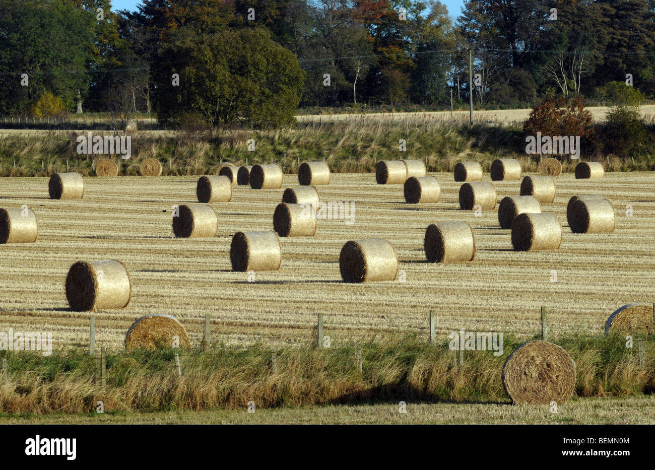 Harvesting hay straw wheat hi-res stock photography and images - Alamy