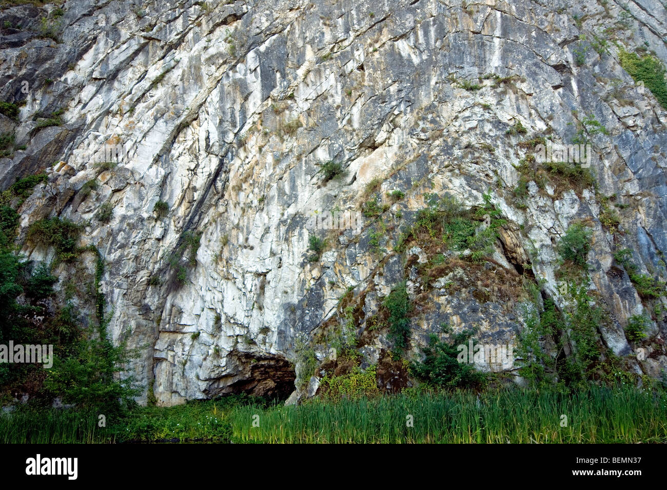 The Rock of Falize, a Frasnian limestone anticline from the Devonian ...