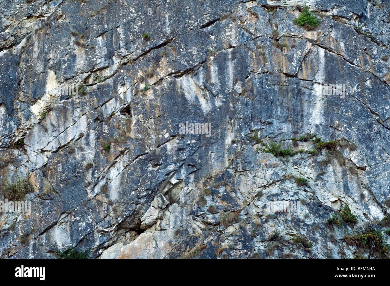 The Rock of Falize, a Frasnian limestone anticline from the Devonian ...