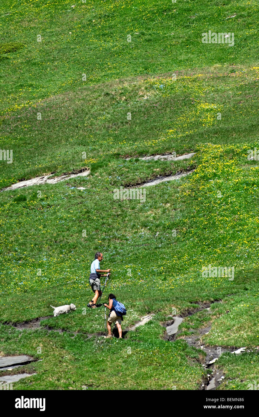 Couple of mountain walkers with walking sticks and dog in the French ...
