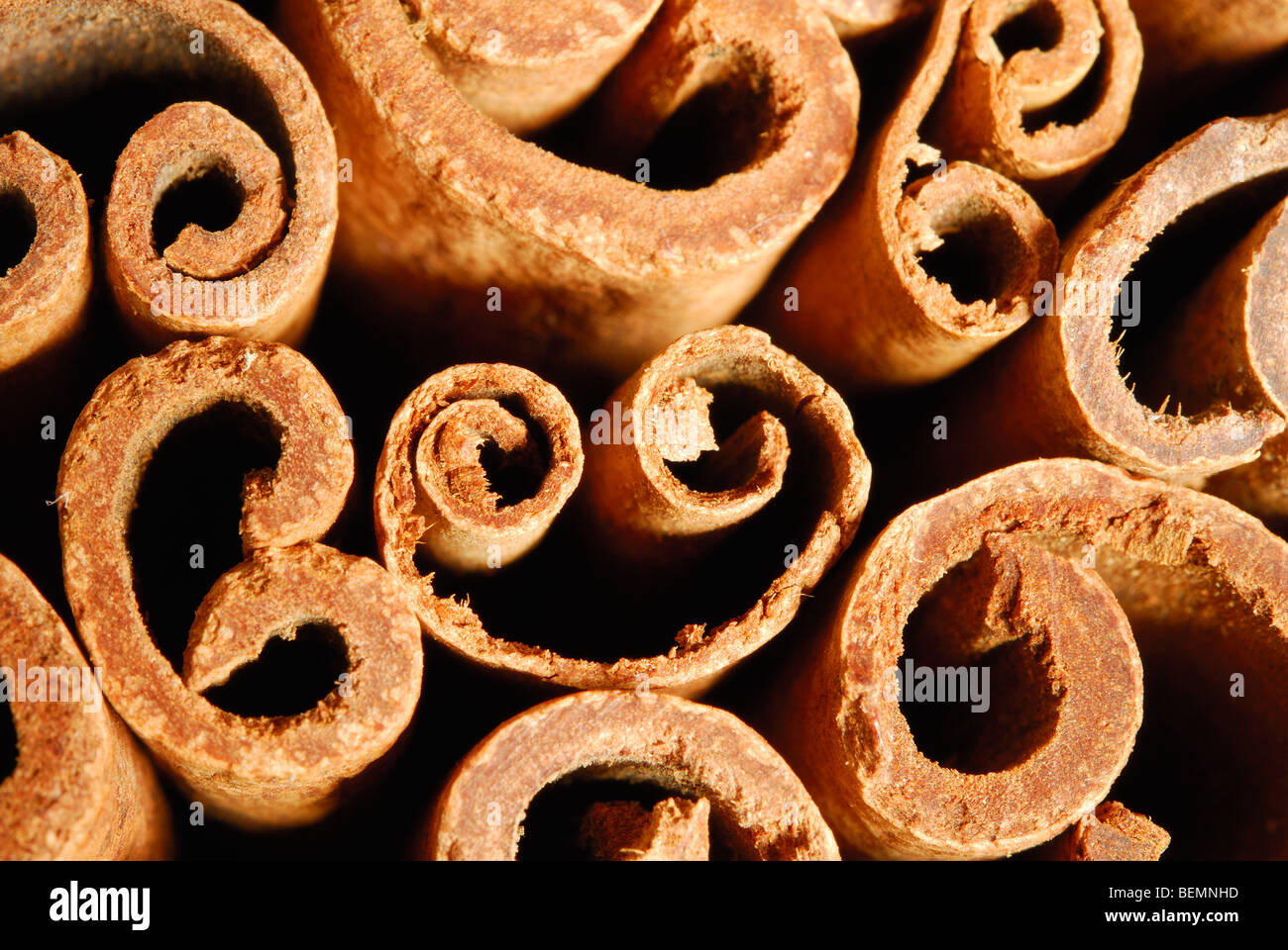 Cinnamon quills. Cinnamomum zeylanicum Stock Photo - Alamy