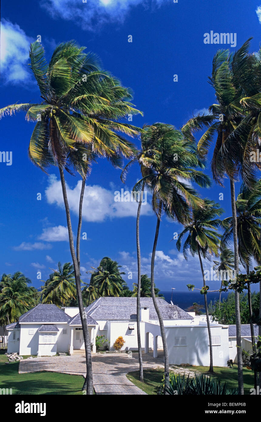 White house barbados hi-res stock photography and images - Alamy