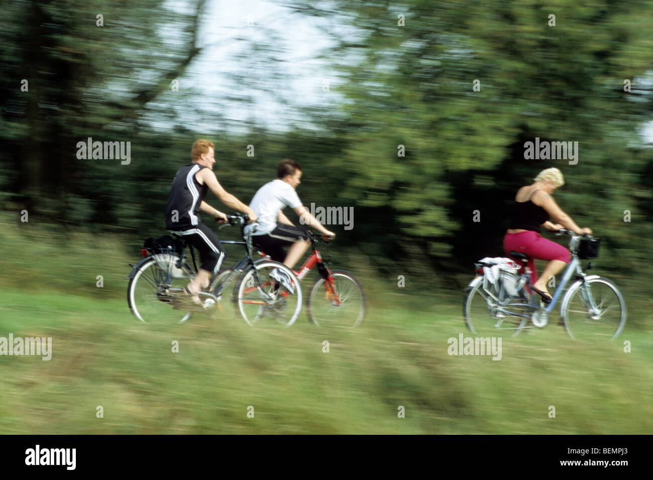 Belgium limburg cycling trees hi-res stock photography and images - Alamy