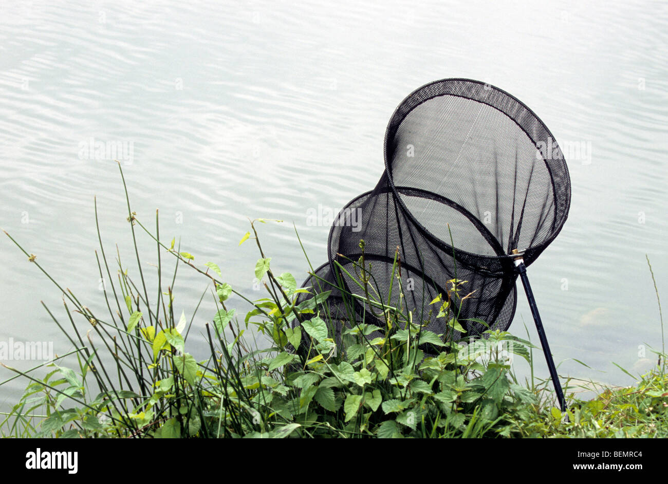 Fish net from angler hanging in lake, Belgium Stock Photo - Alamy