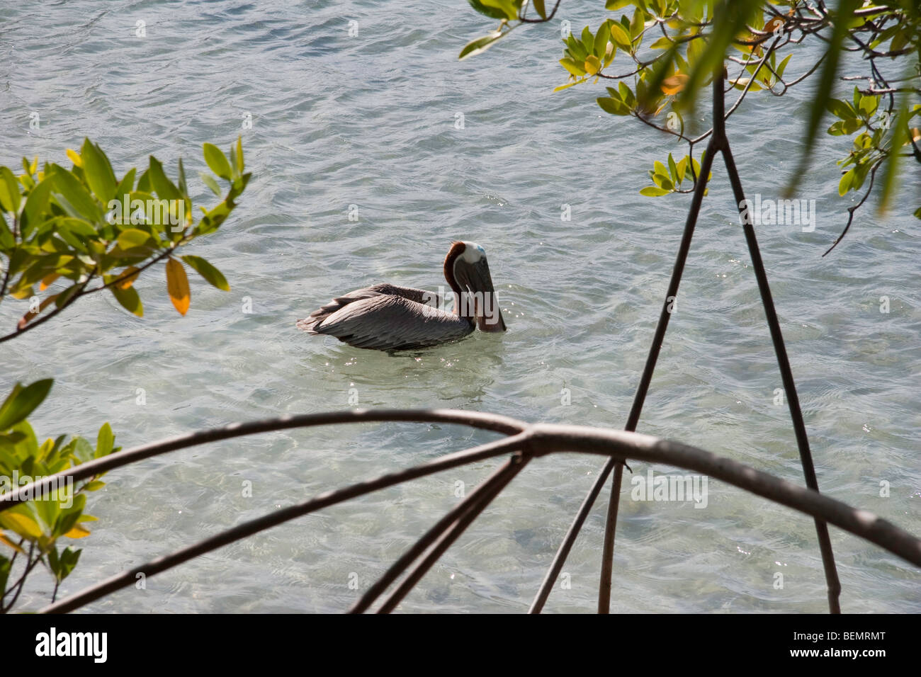 Chowing down hi-res stock photography and images - Alamy
