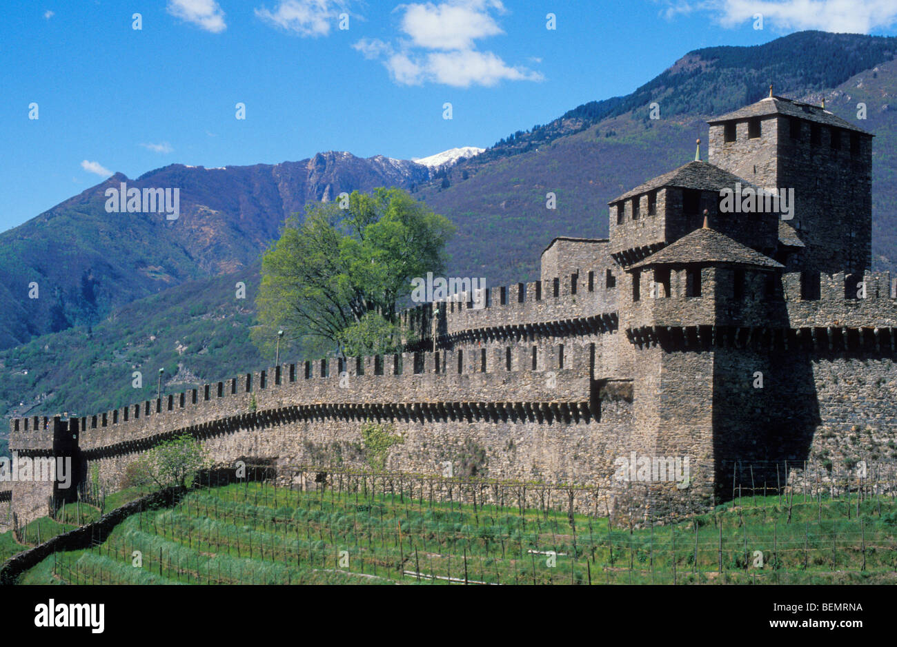 Castello Montebello, Castle, Bellinzona, Ticino, Switzerland Stock ...