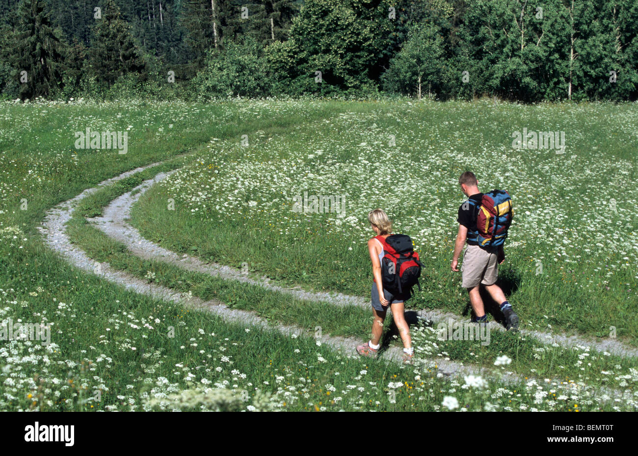 Walkers with backpacks in the mountains, Austria Stock Photo - Alamy