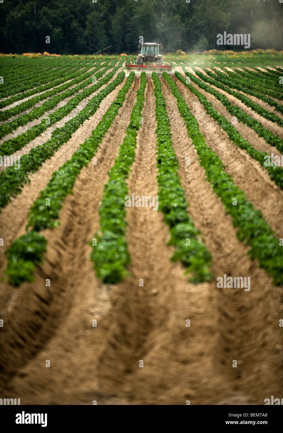 tractor in field Stock Photo - Alamy