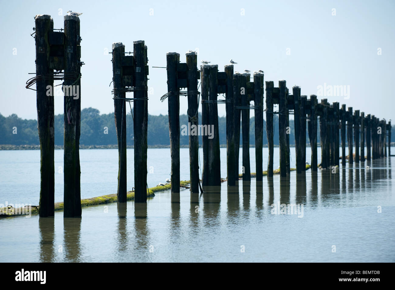 Creosote piling hi-res stock photography and images - Alamy