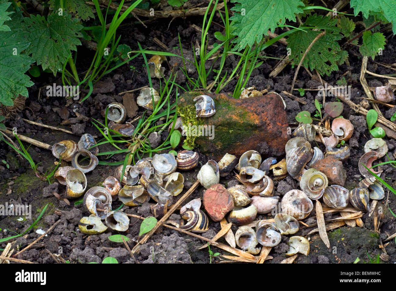 Anvil Stones High Resolution Stock Photography and Images - Alamy