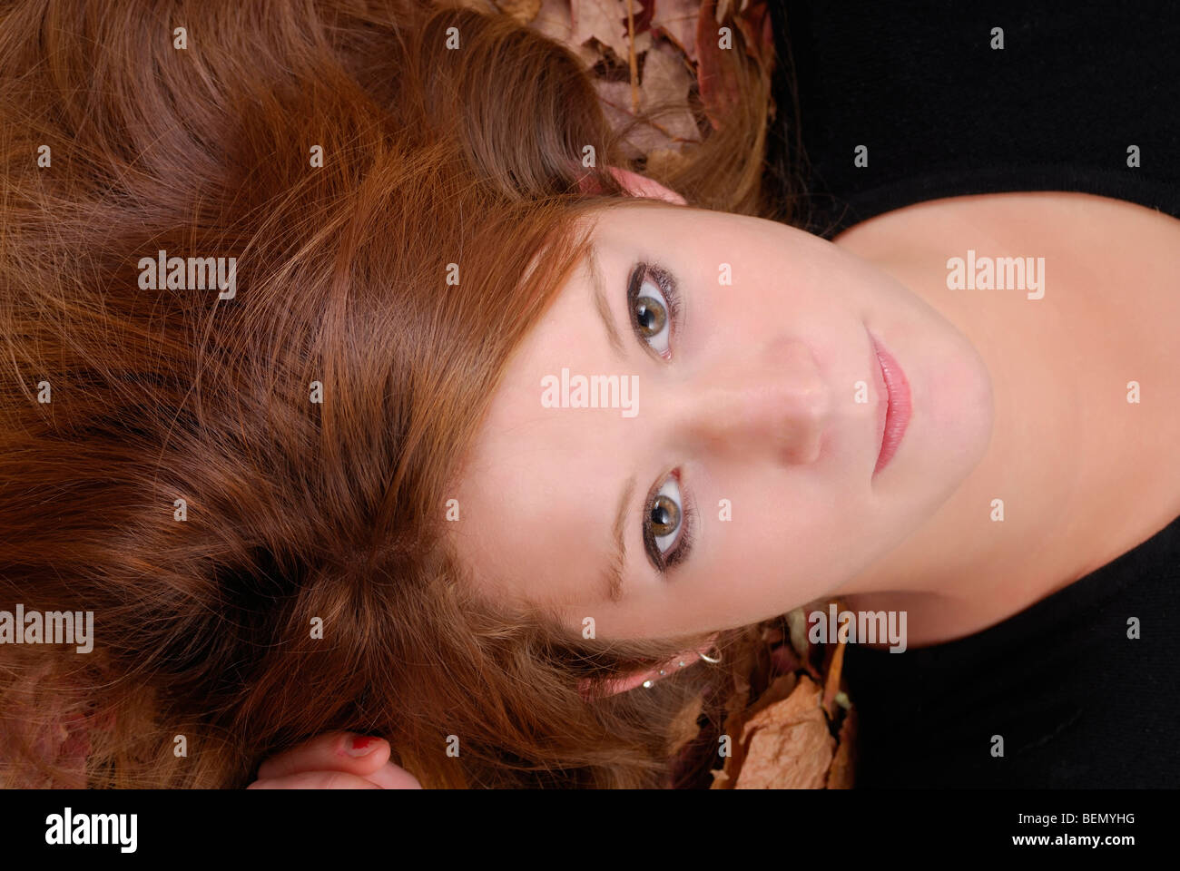 Hared High Resolution Stock Photography and Images - Alamy