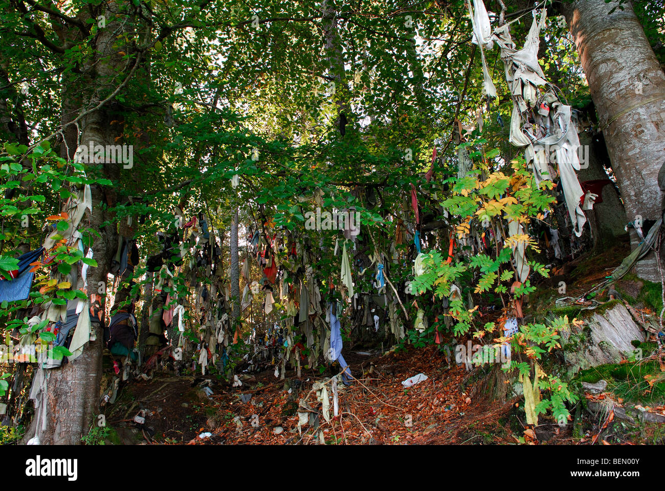 Clootie Tree High Resolution Stock Photography and Images - Alamy