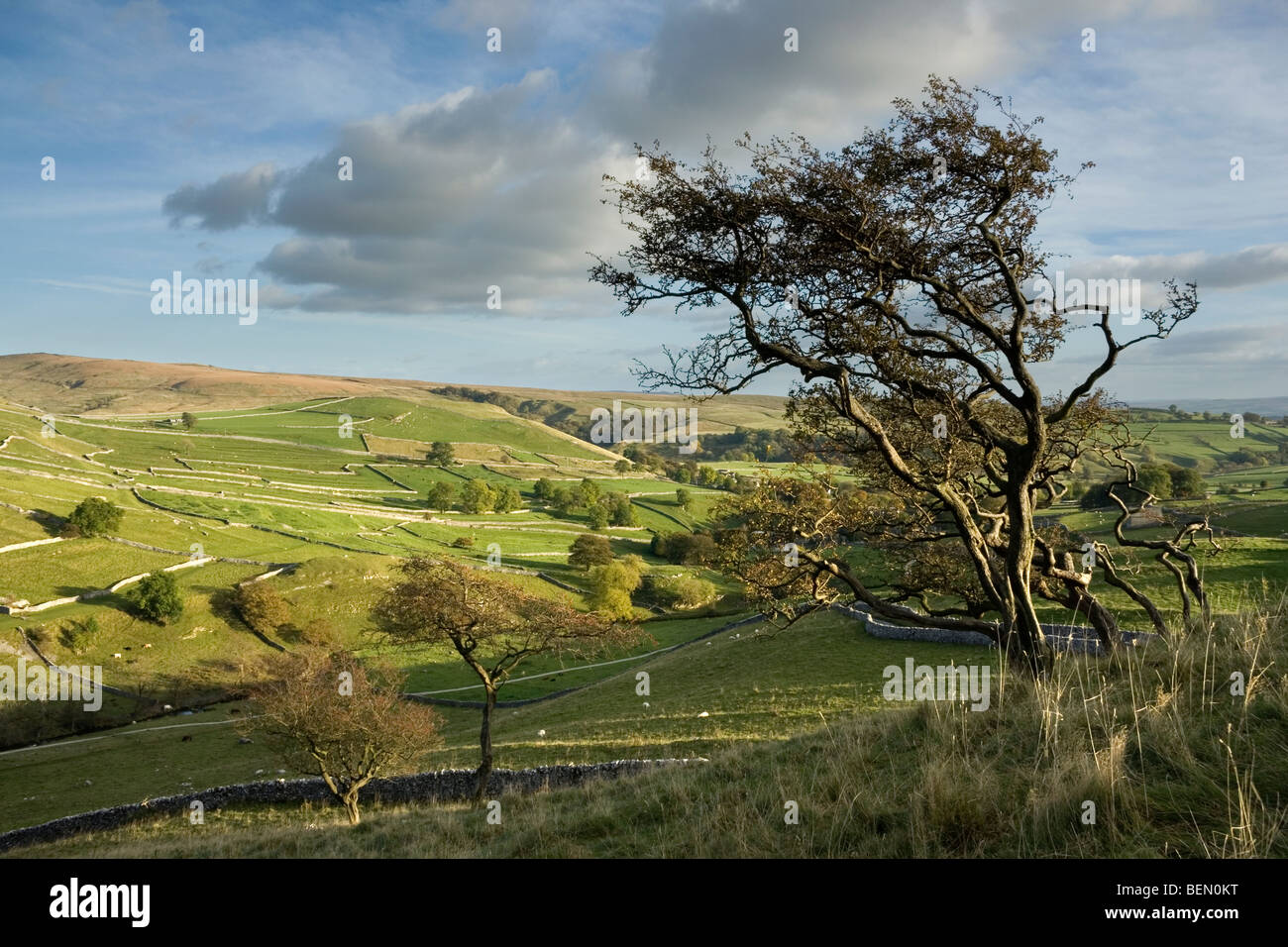 Looking down the valley towards the village of Malham and Malhamdale ...
