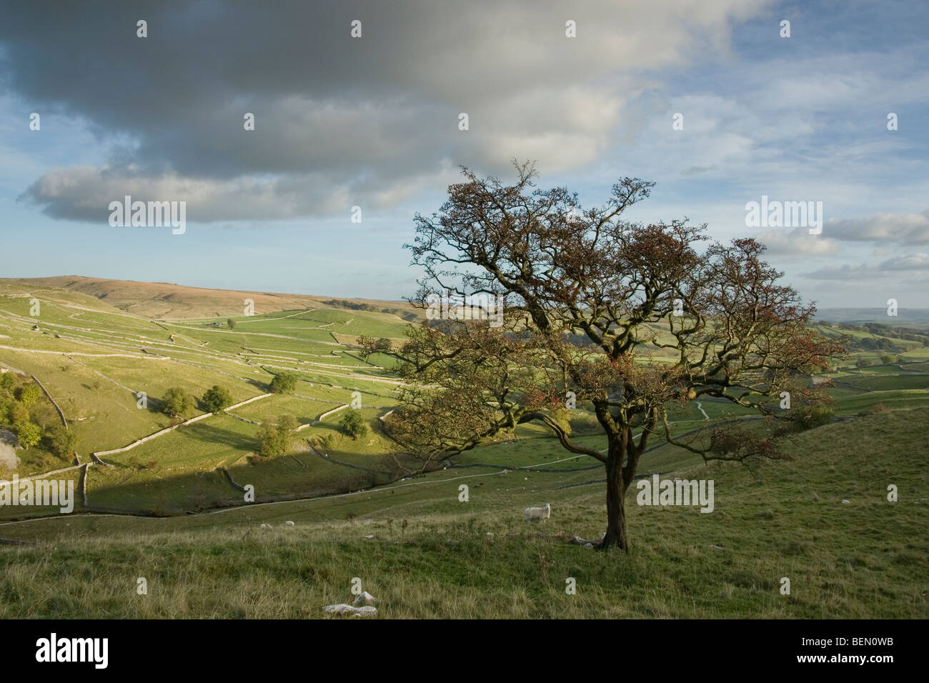 Looking down the valley towards the village of Malham and Malhamdale ...