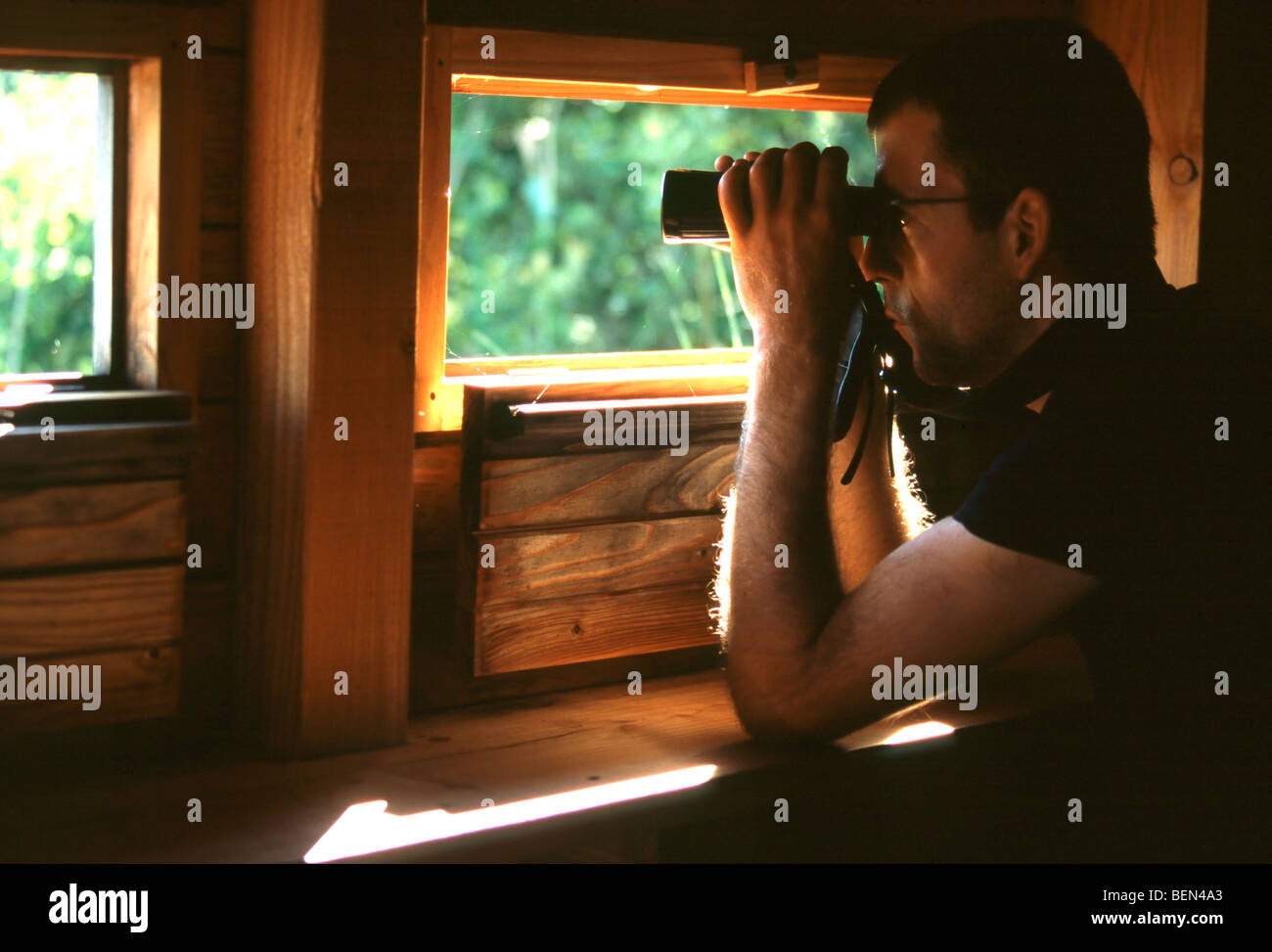 Birdwatcher in birding hide, France Stock Photo - Alamy