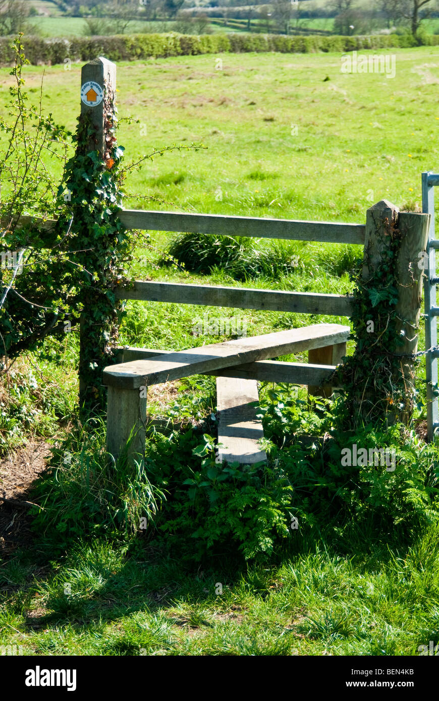 A stile which is a step to enable easy access over a fence or hedge in ...