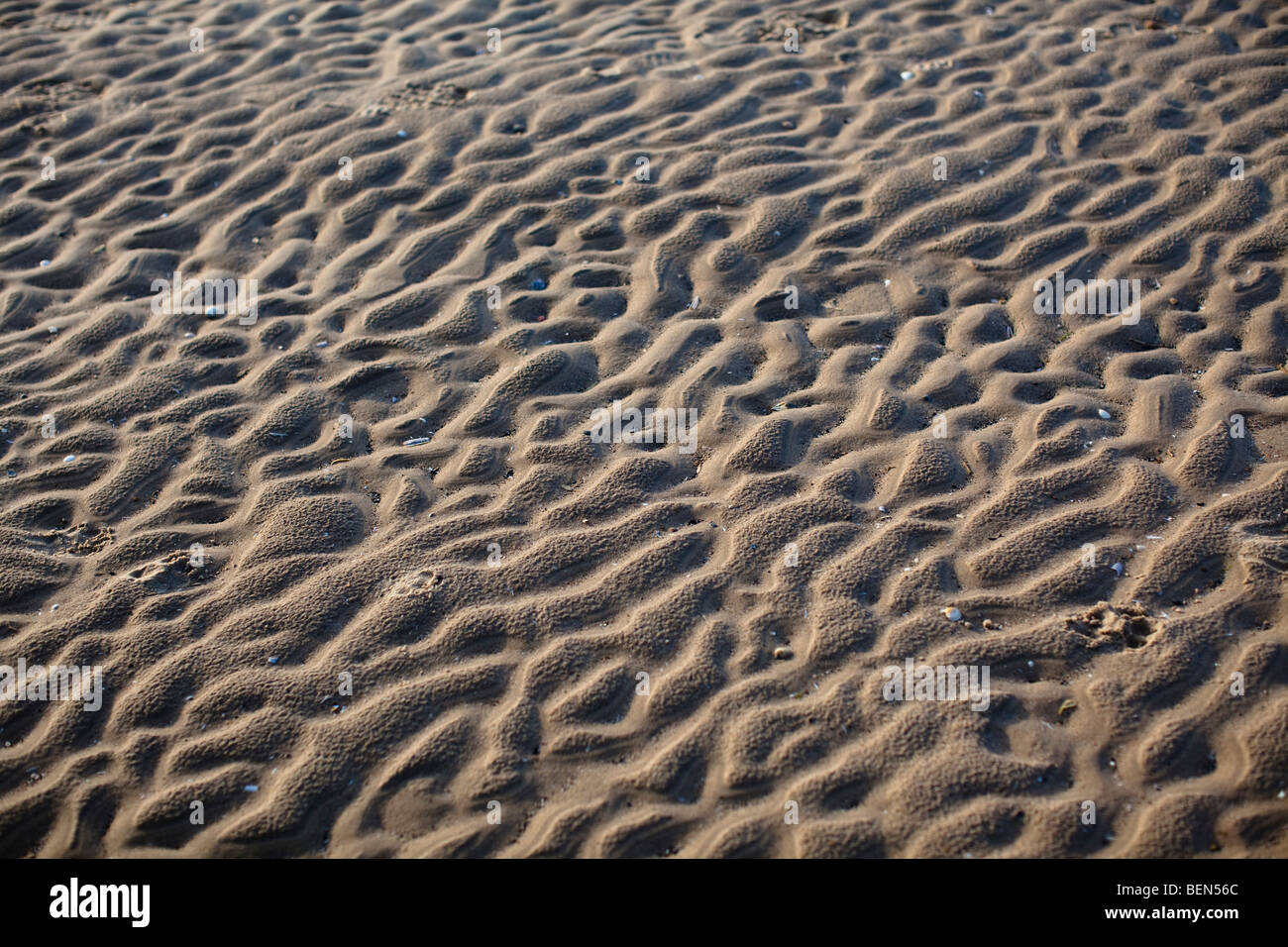 Holkham Beach Norfolk Stock Photo - Alamy