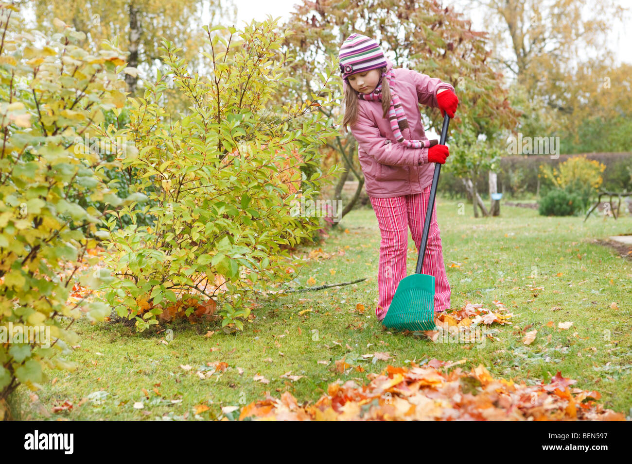 Little girl rake colorful fallen autumn leaves in garden Stock Photo ...