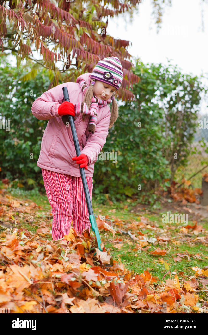 Little girl rake colorful fallen autumn leaves in garden Stock Photo ...