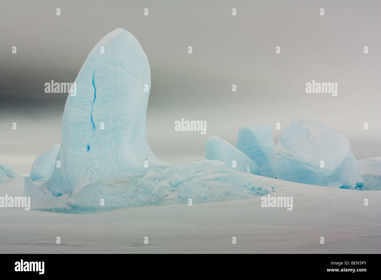 Icebergs trapped in frozen sea ice, Antarctica Stock Photo - Alamy