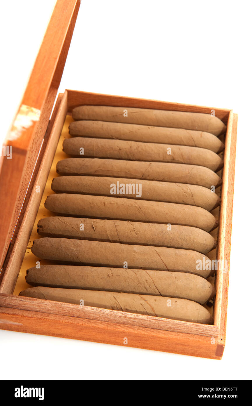 Full cigar box from wood isolated over white Stock Photo - Alamy