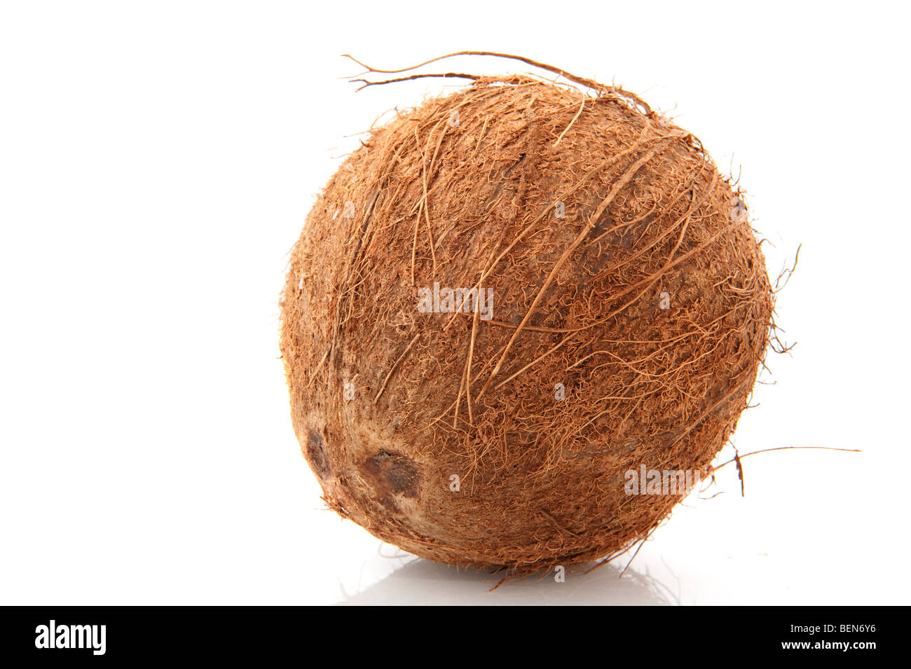 Coconut whole hi-res stock photography and images - Alamy
