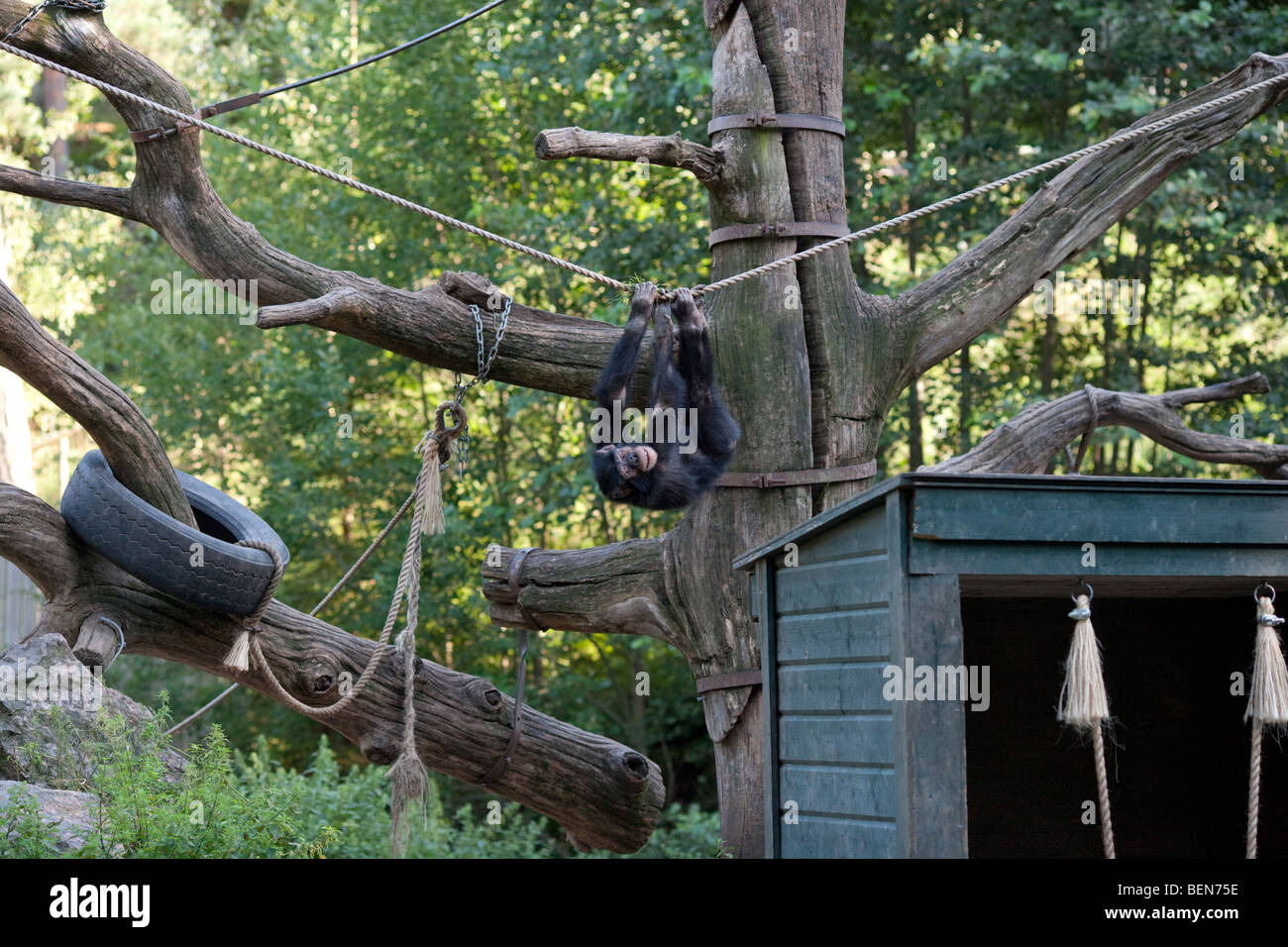 Young Swedish model. No model release Stock Photo - Alamy