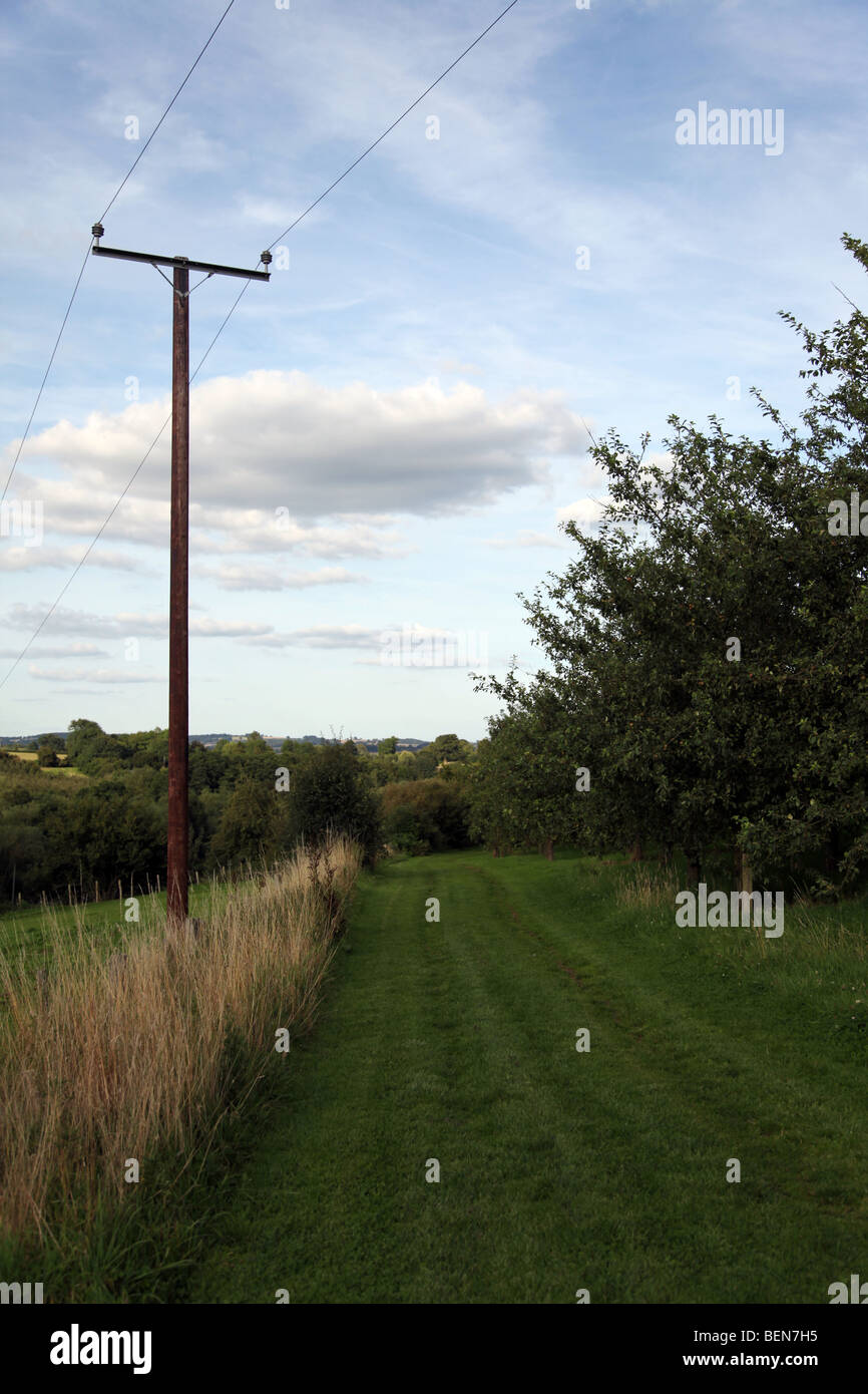 Field electricity pole hi-res stock photography and images - Alamy