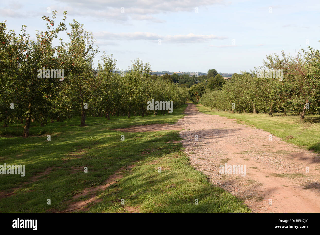 Orchard path hi-res stock photography and images - Alamy