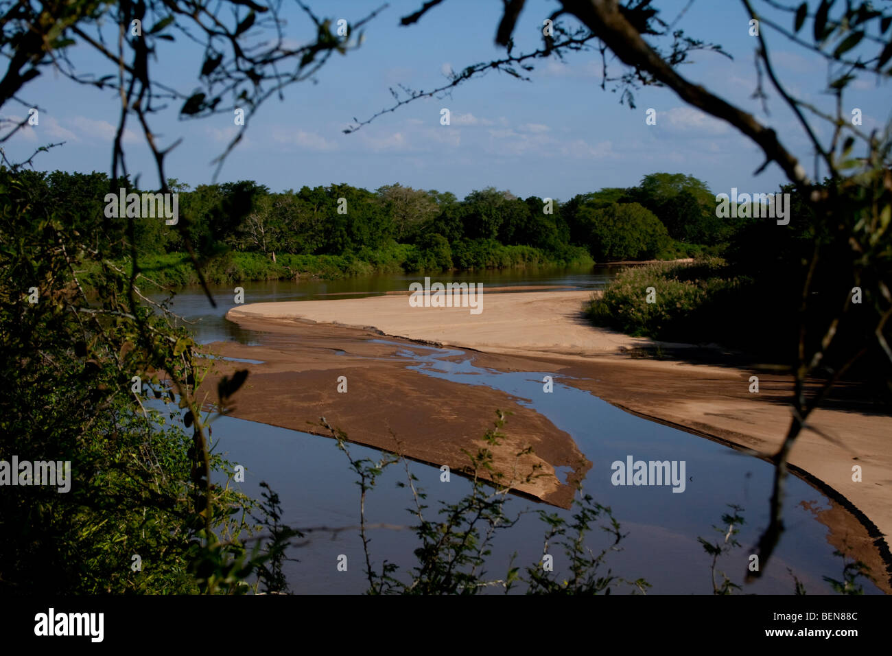 The usutu river hi-res stock photography and images - Alamy