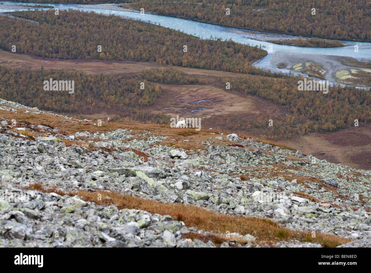 Sarek National Park Stock Photo - Alamy