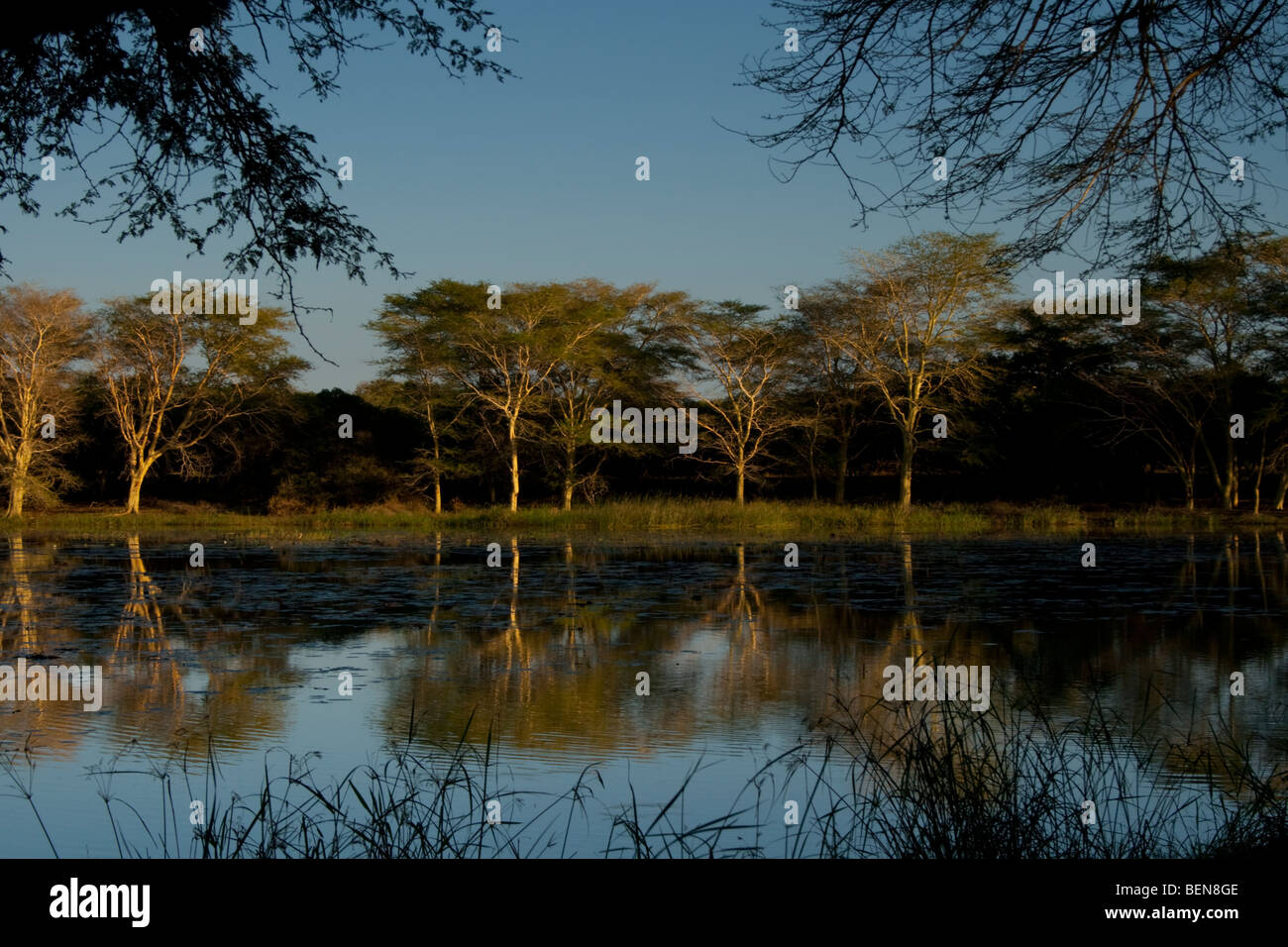 Umkhuze game reserve hi-res stock photography and images - Alamy