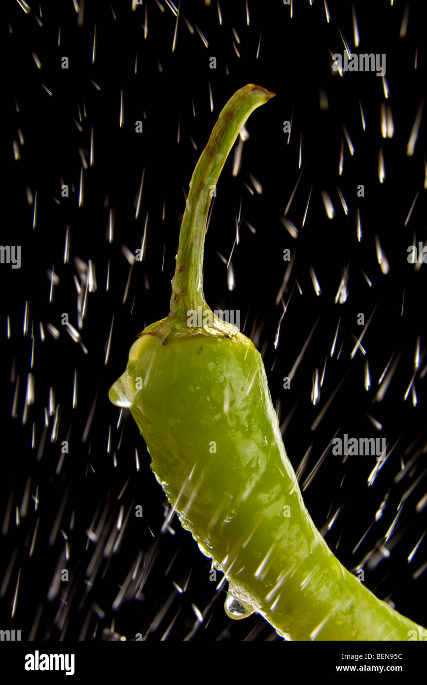 Green pepper stalk hi-res stock photography and images - Alamy