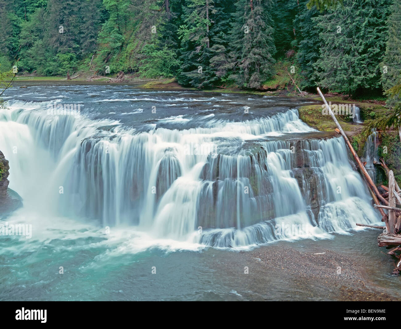Lower Lewis Falls in the Lewis River , Gifford Pinchot National Forest ...