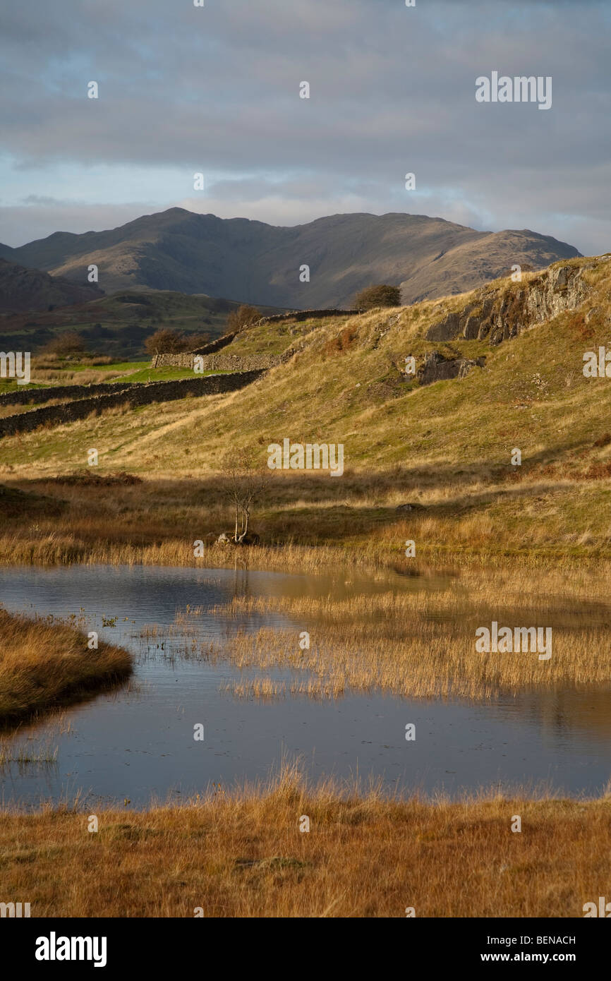 Kelly Hall Tarn on Torver Common in the English Lake District with ...