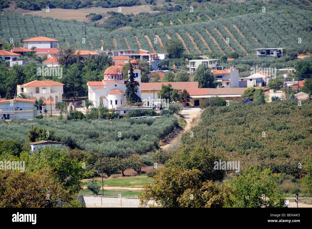 Olive groves surround the ancient town of Olynthos in the Halkidiki ...