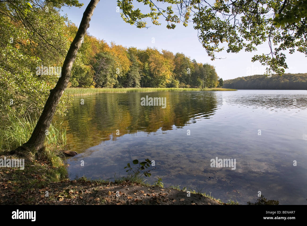 Liepnitzsee, Wandlitz, Barnim, Brandenburg, Germany Stock Photo - Alamy