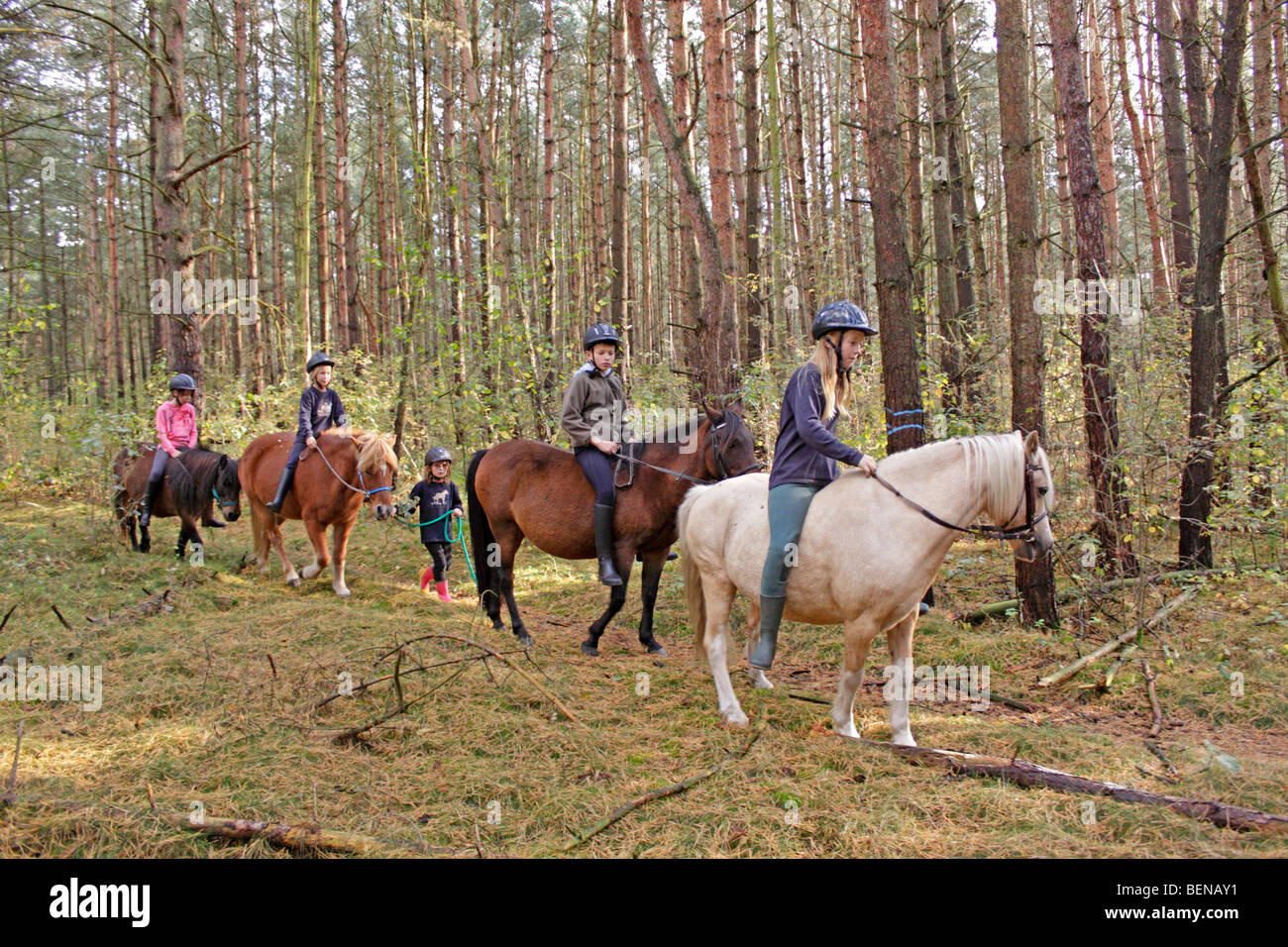 children riding on their ponies through a forest Stock Photo - Alamy