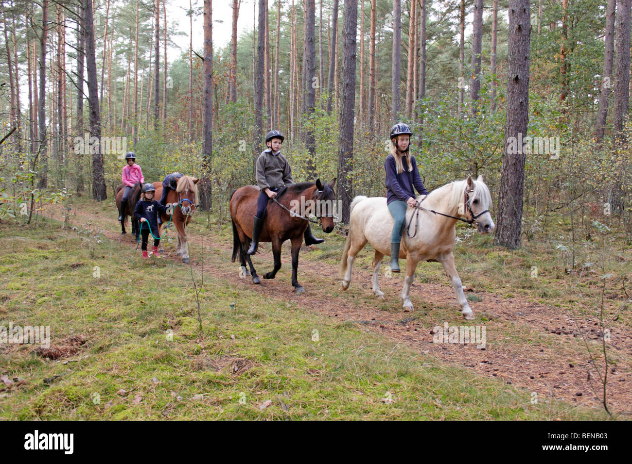 children riding on their ponies through a forest Stock Photo - Alamy