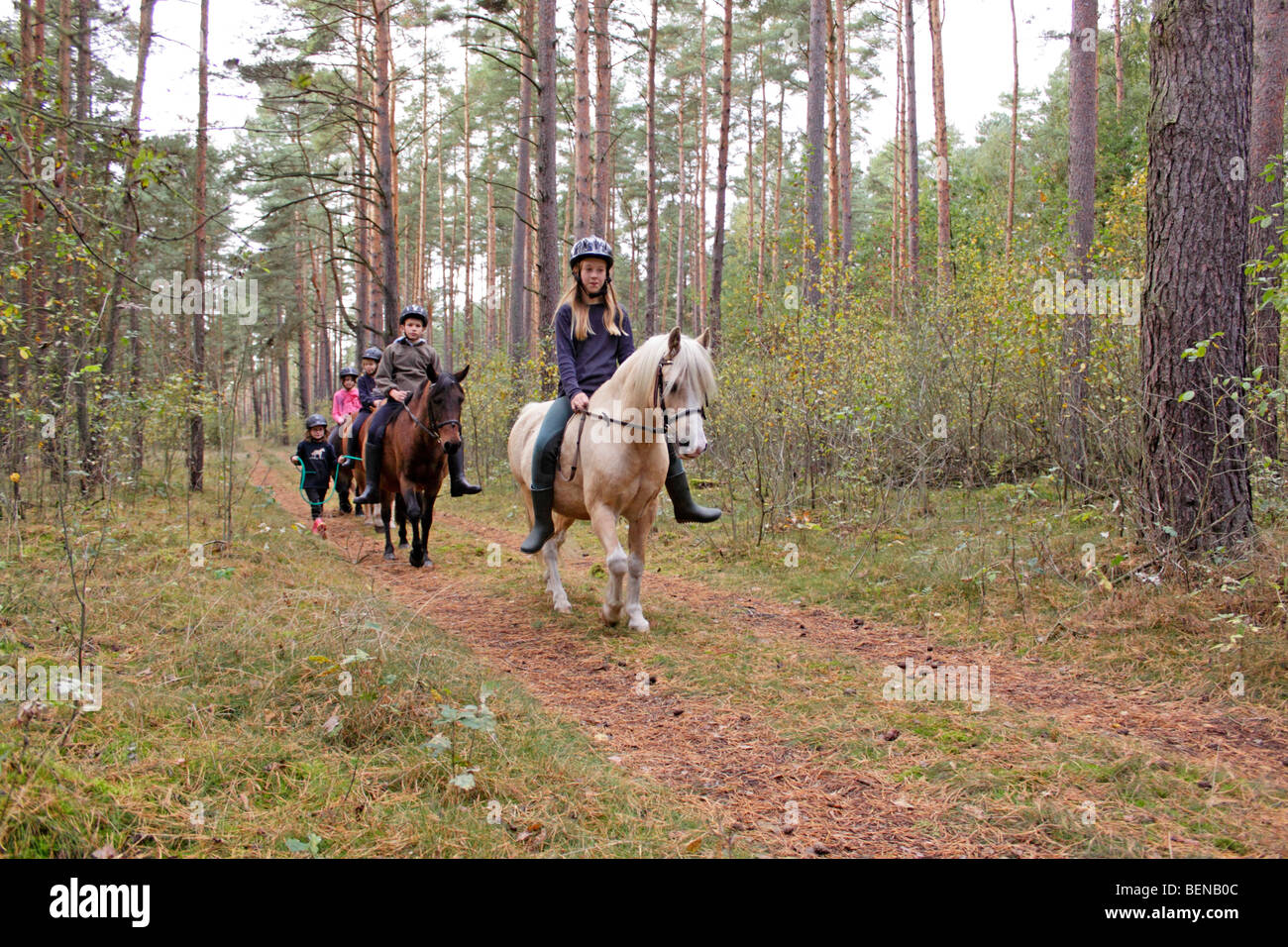 children riding on their ponies through a forest Stock Photo - Alamy