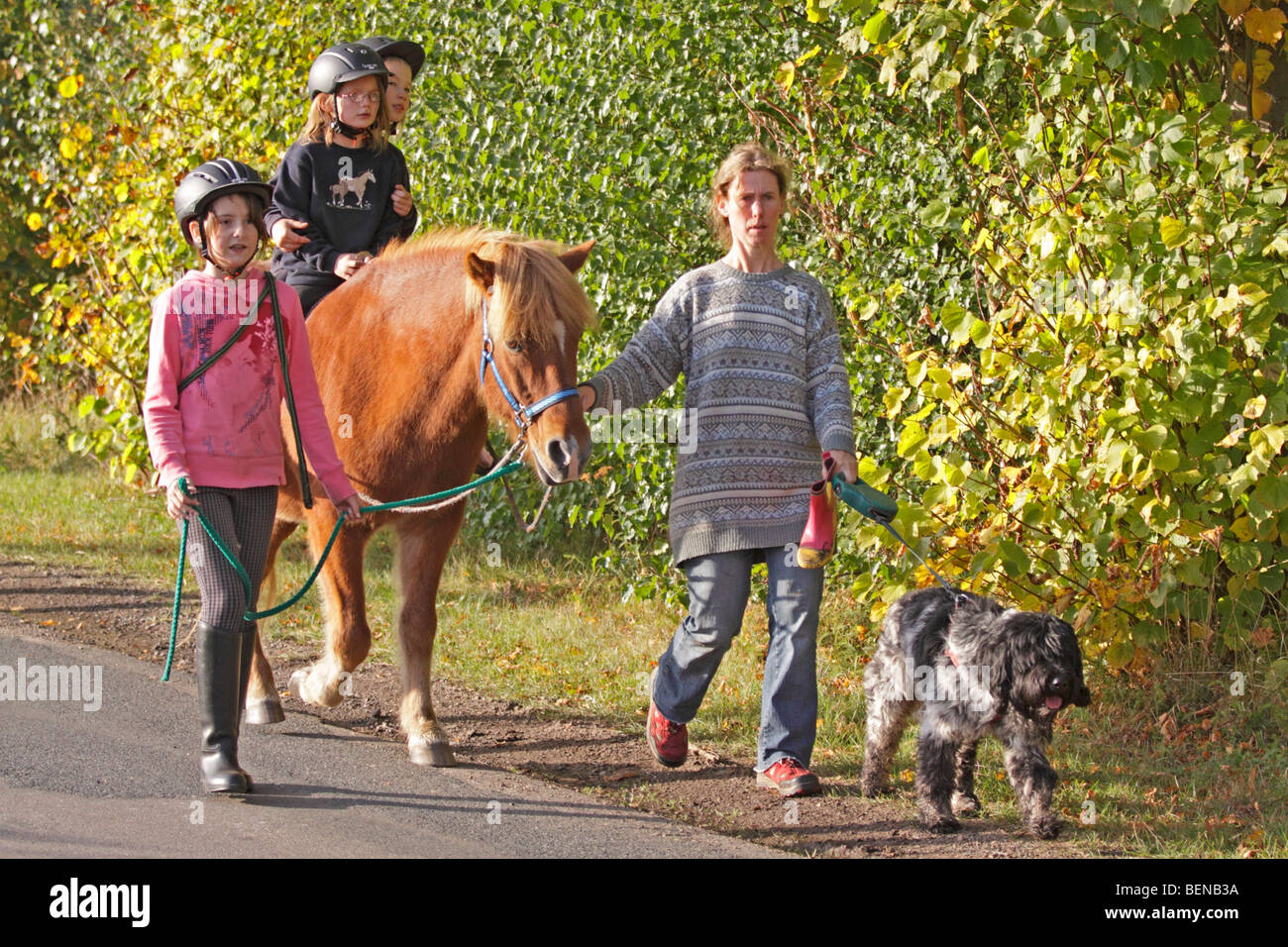 children riding their ponies Stock Photo - Alamy