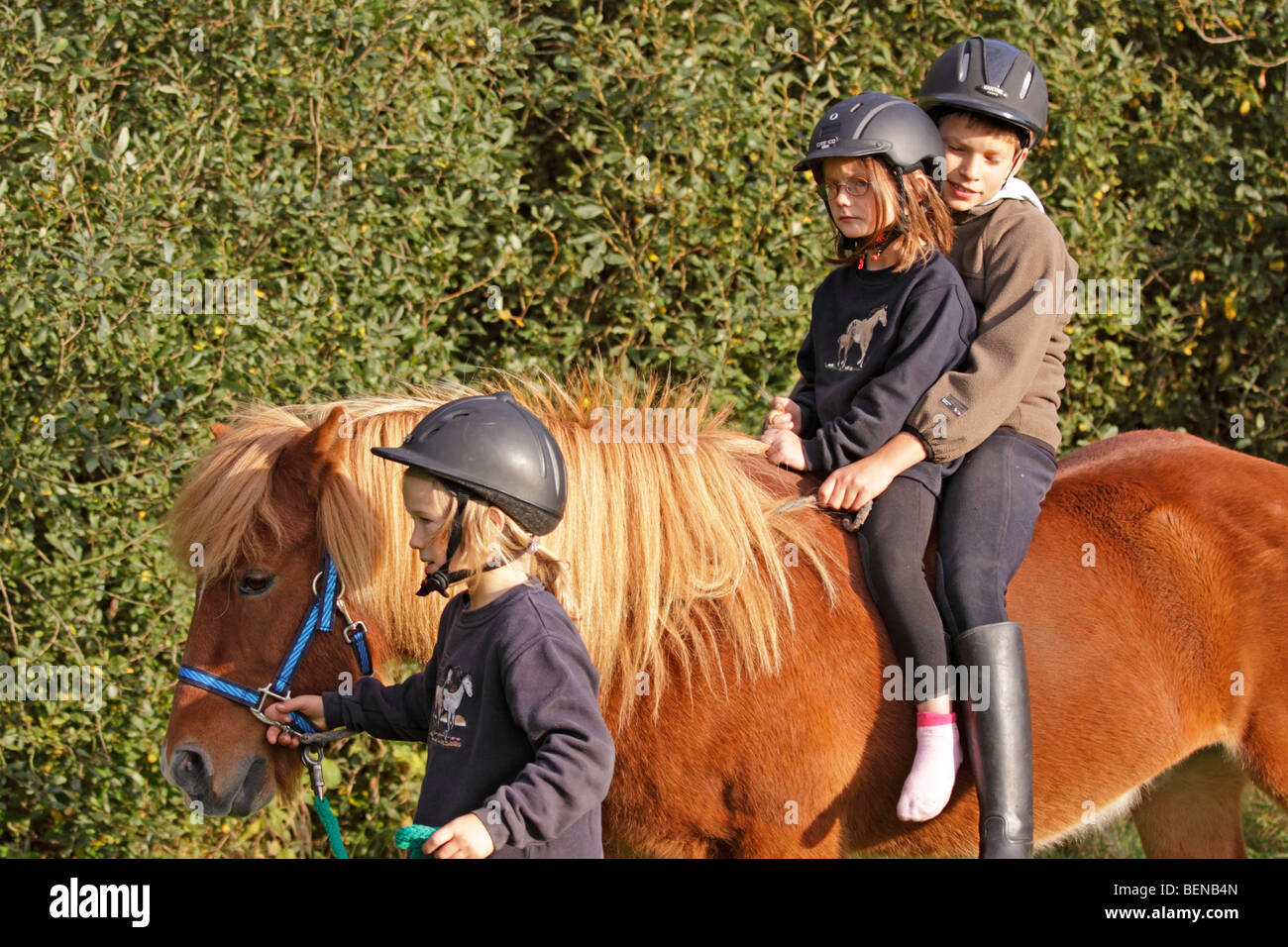 children riding on their ponies through a forest Stock Photo - Alamy