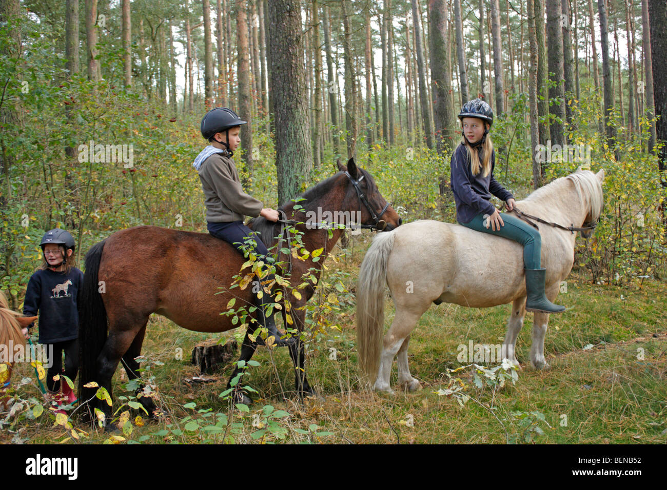children riding on their ponies through a forest Stock Photo - Alamy