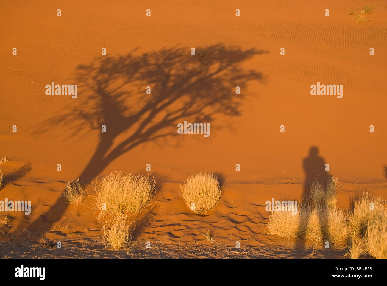 Namib nature reserve namibia hi-res stock photography and images - Alamy