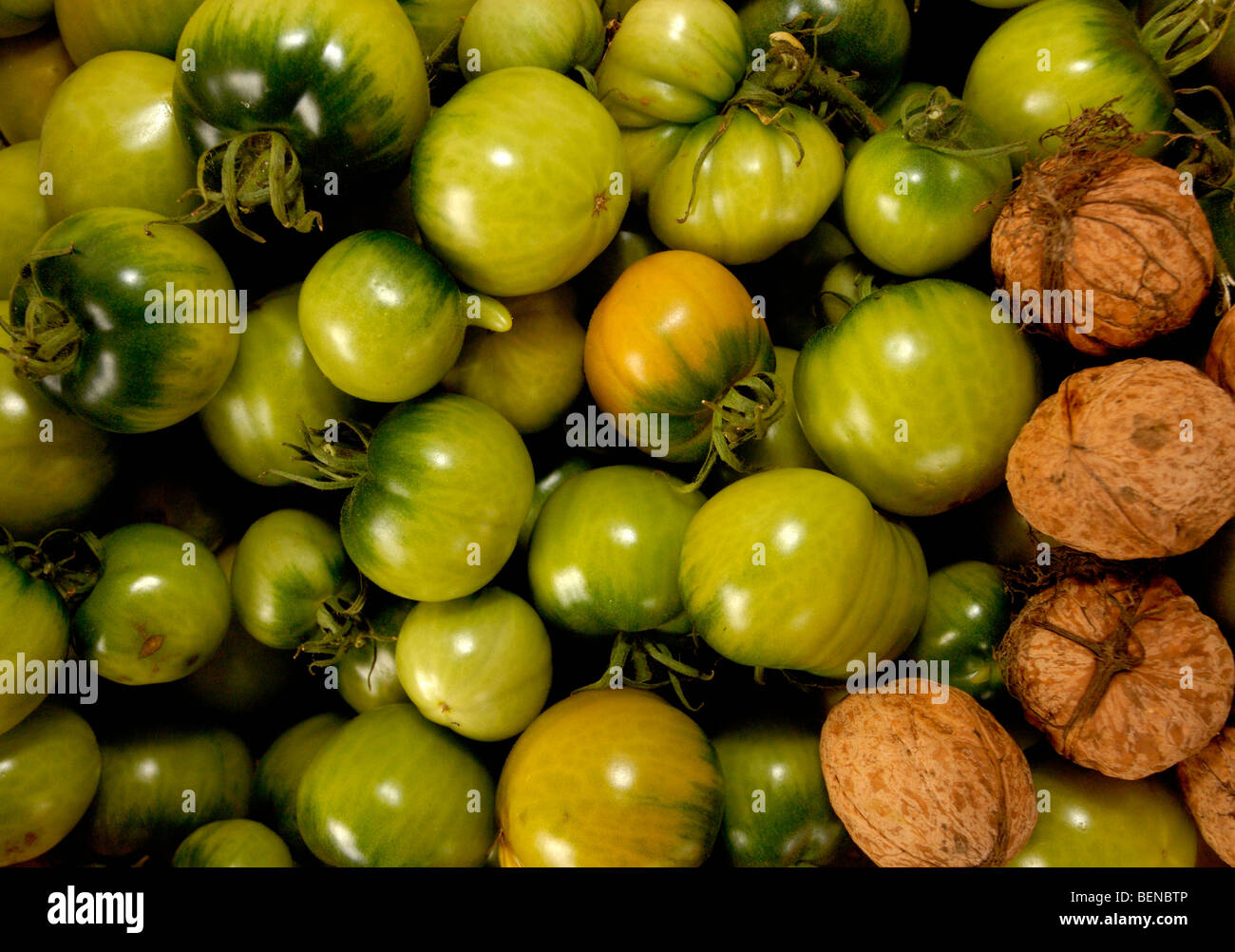Only walnuts hi-res stock photography and images - Alamy
