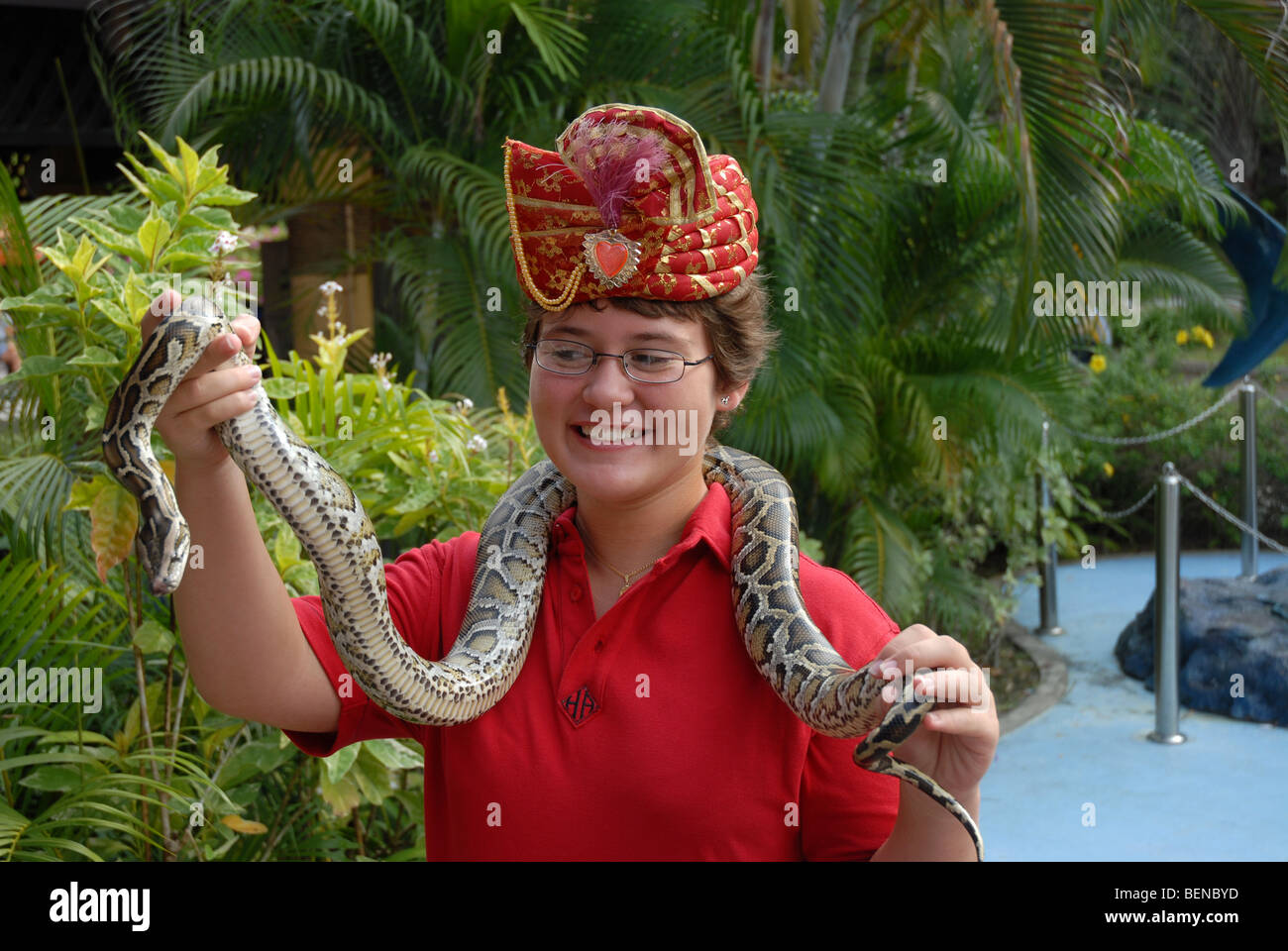 young girl (aged 10) holding a Burmese Python, Sentosa Island ...