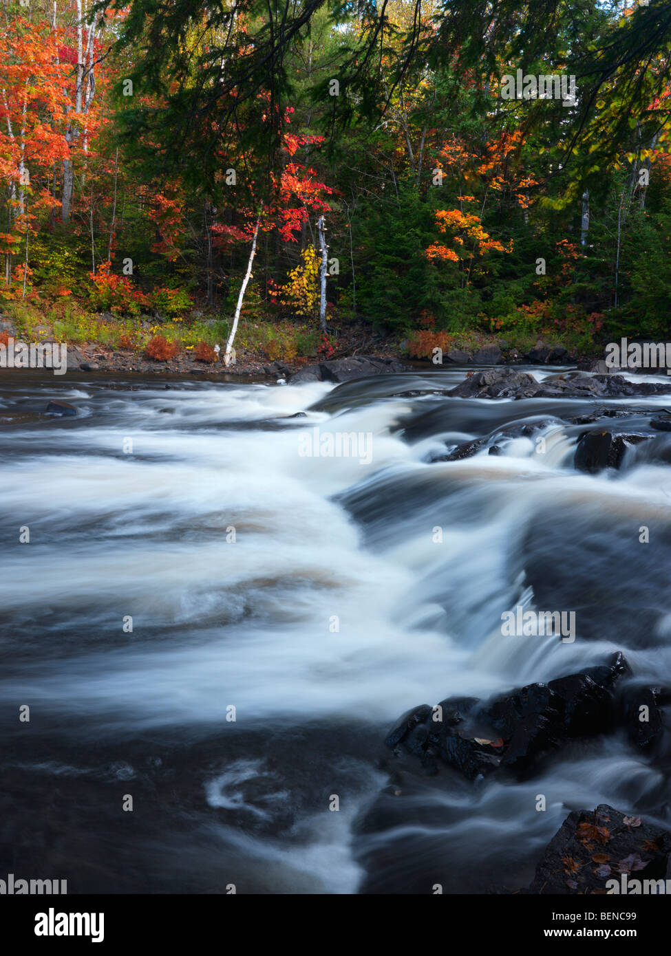 Oxtongue river. Beautiful fall nature scenery. Algonquin, Muskoka ...
