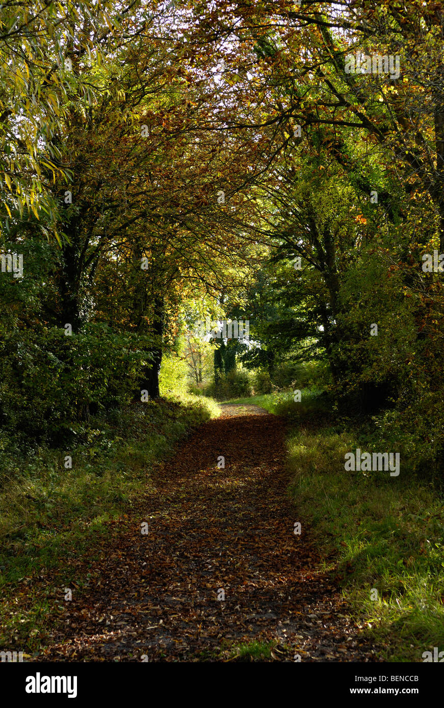 Rural country walk hi-res stock photography and images - Alamy