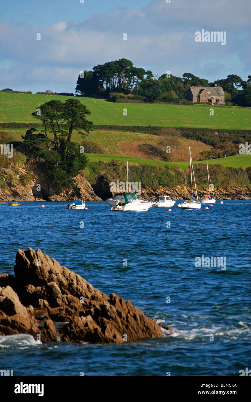 a view of the helford river from trebah gardens in cornwall, uk Stock ...