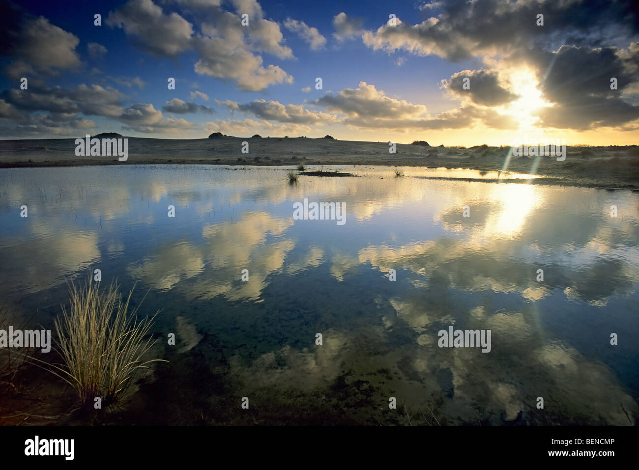 Approaching storm westhoek hi-res stock photography and images - Alamy